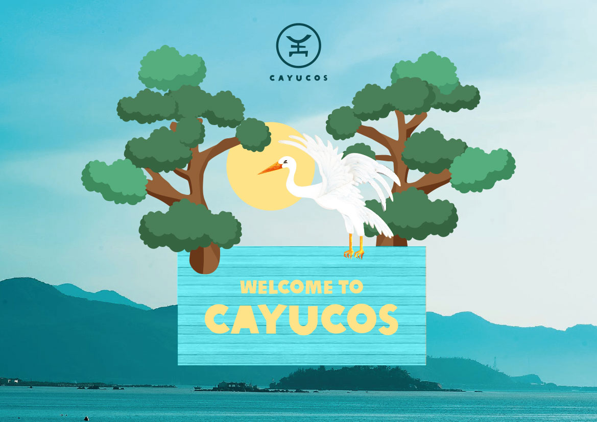Where To Buy CAYUCOS